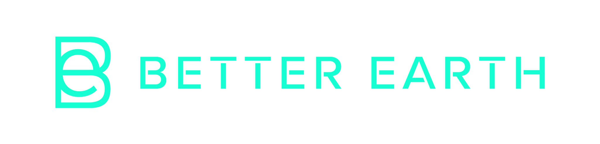 Better Earth - Partners for Business Transformation